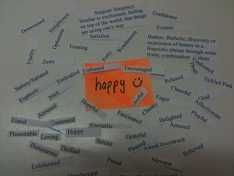 Happiness Haiku: What Does Happiness Mean To You? - Mirth and Motivation