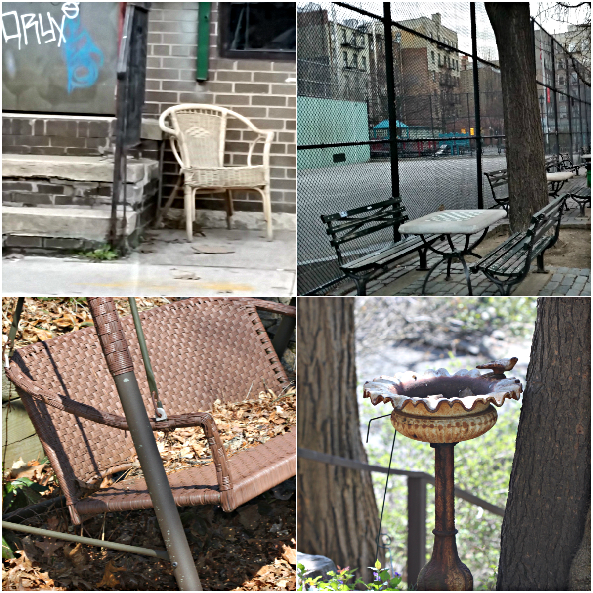 Weekly Photo Challenge: OFF-SEASON Moments | Mirth and Motivation