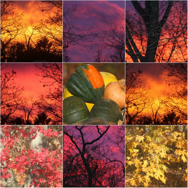 Motivation Mondays: Happy Thanksgiving #mondaymotivation - Mirth and ...