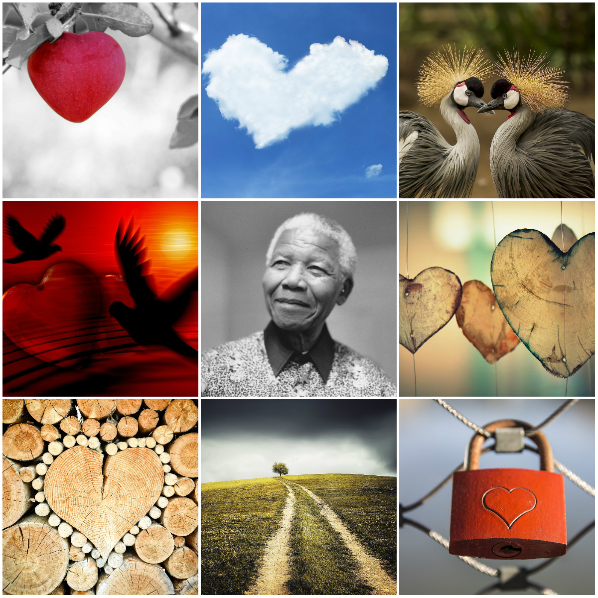 Motivation Mondays: Matters Of The Heart | Mirth and Motivation