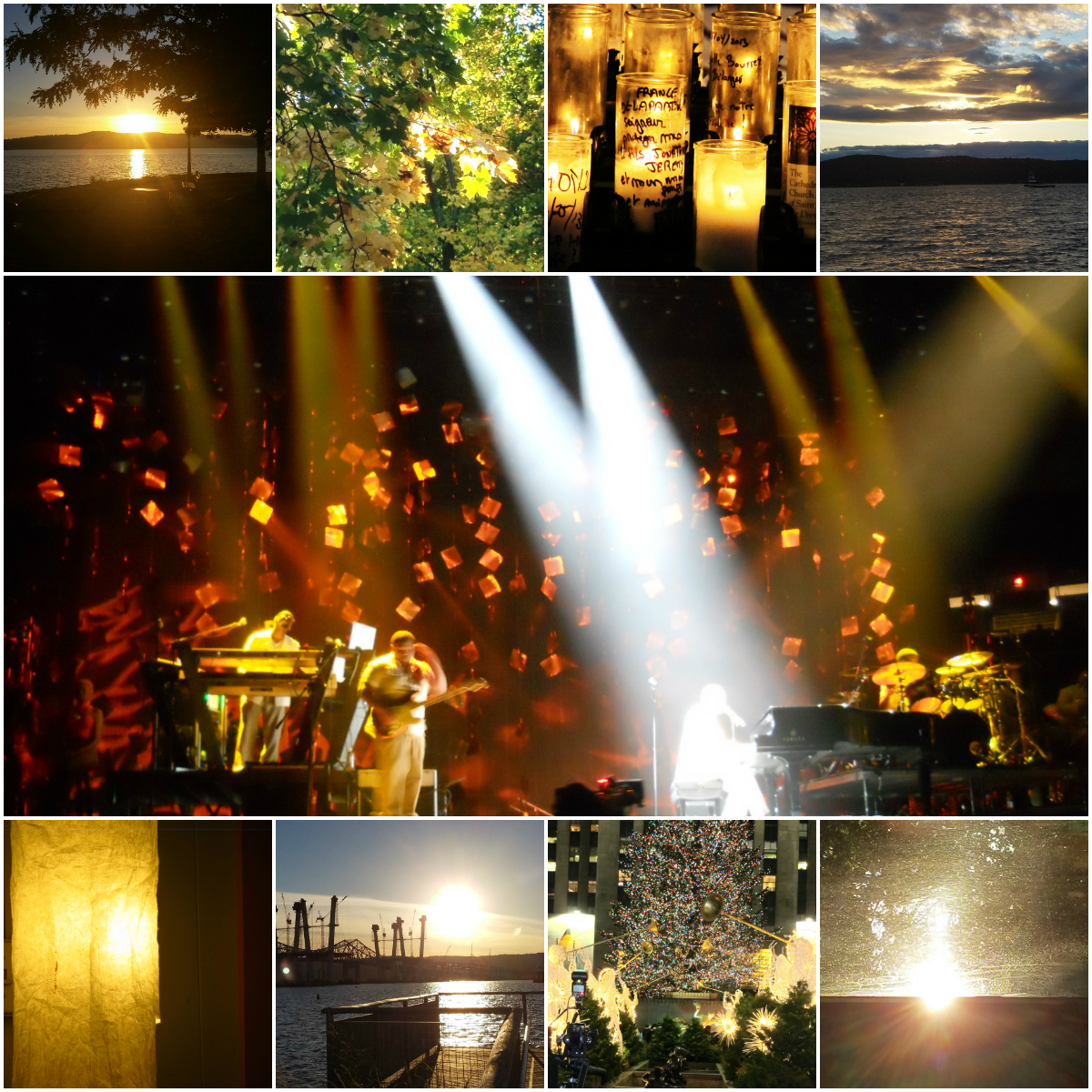 Weekly Photo Challenge: SHINE - Mirth and Motivation