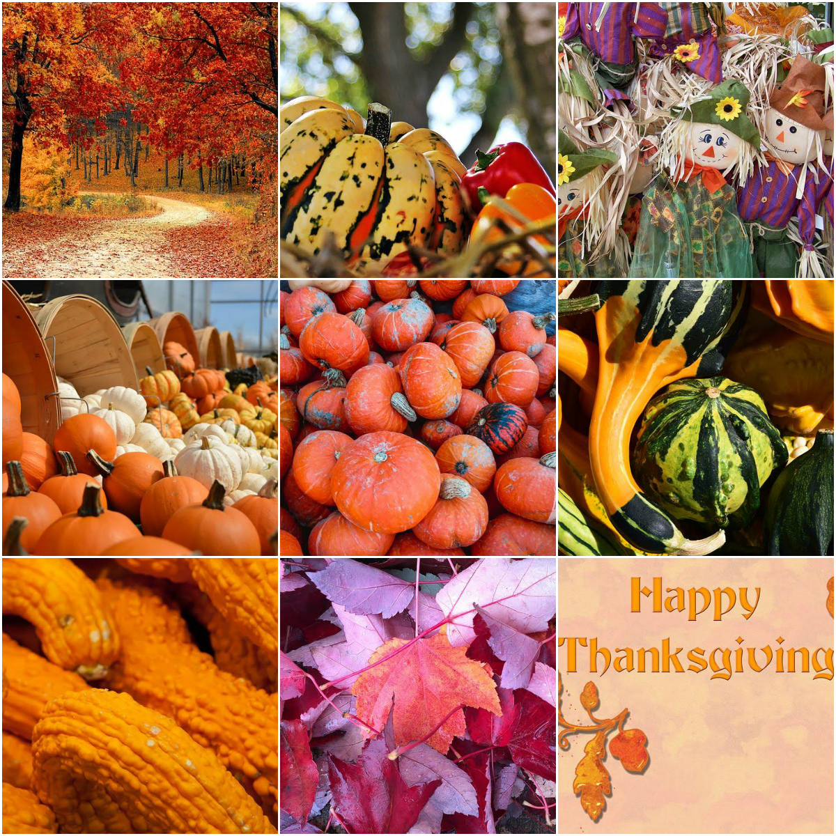 Motivation Mondays: THANKSGIVING | Mirth and Motivation