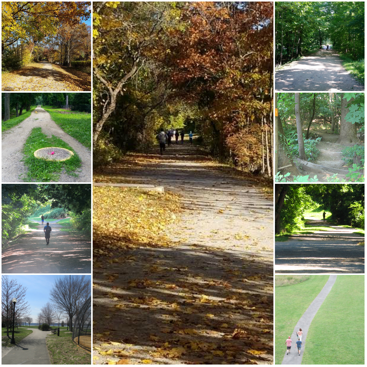 Weekly Photo Challenge: A PATH | Mirth and Motivation