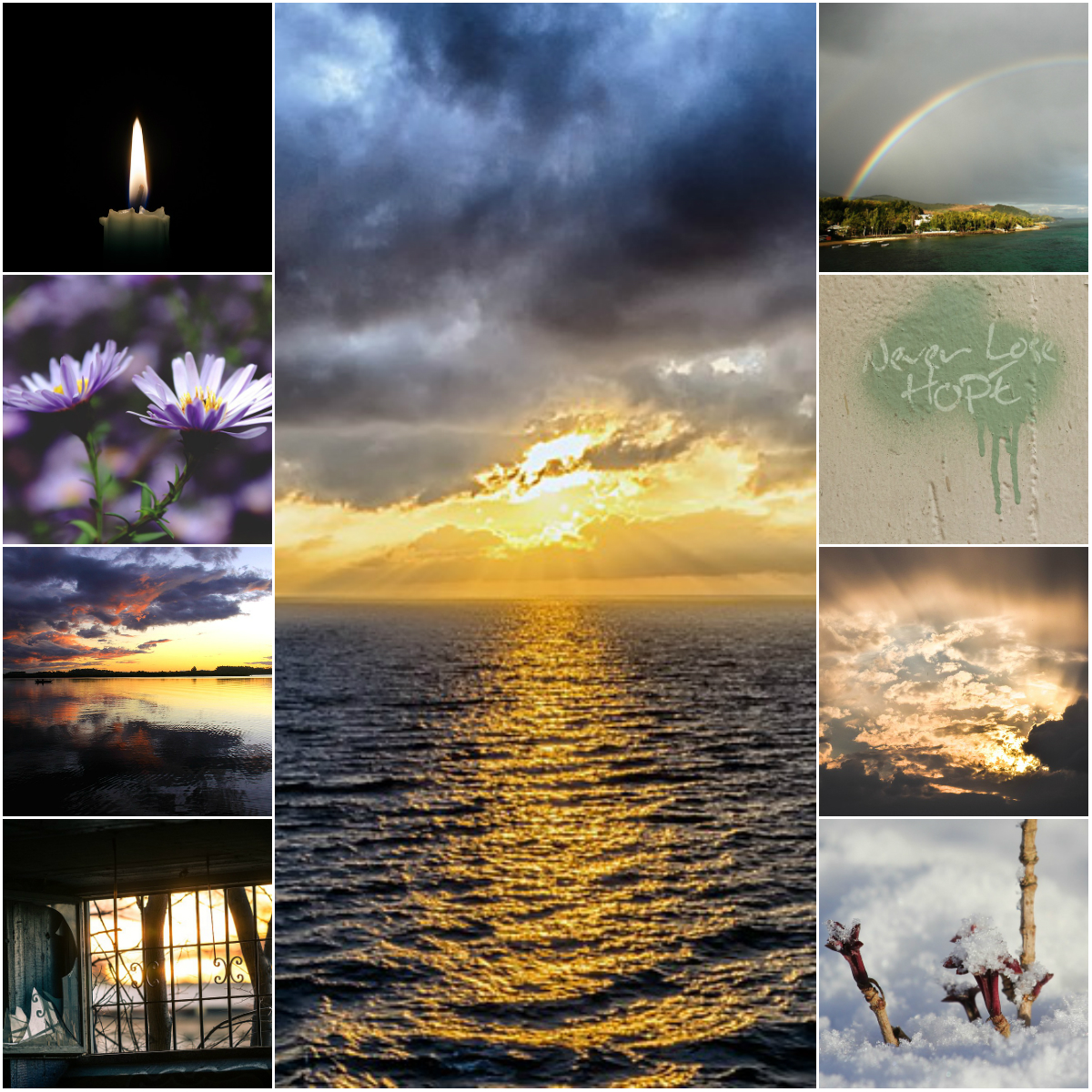 Haiku: A Glimmer of HOPE - Mirth and Motivation