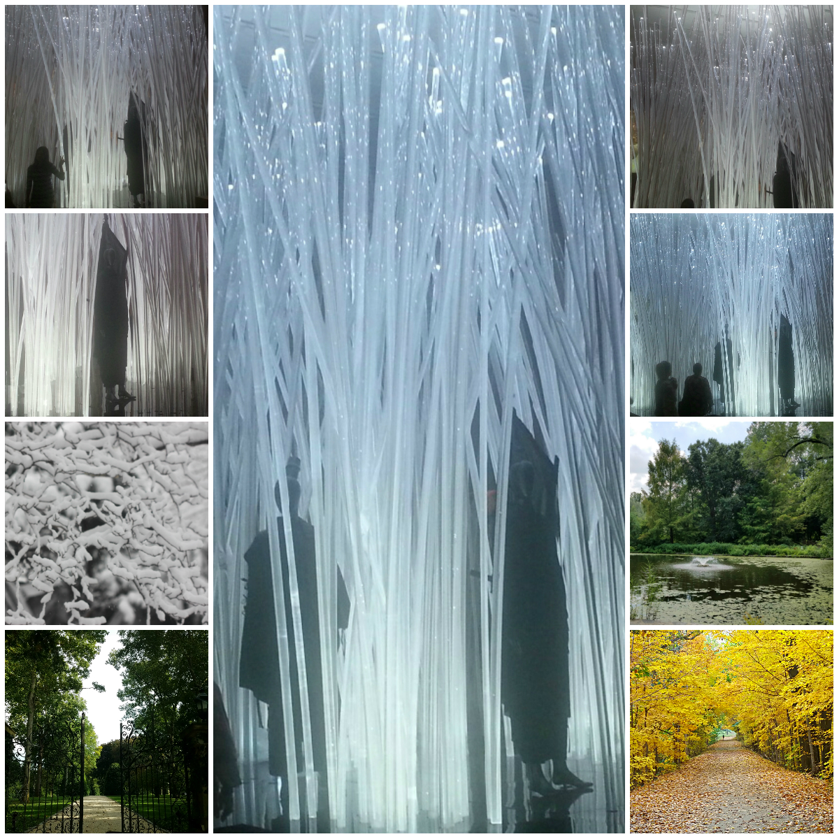 Photo Challenge: DENSE | Mirth and Motivation