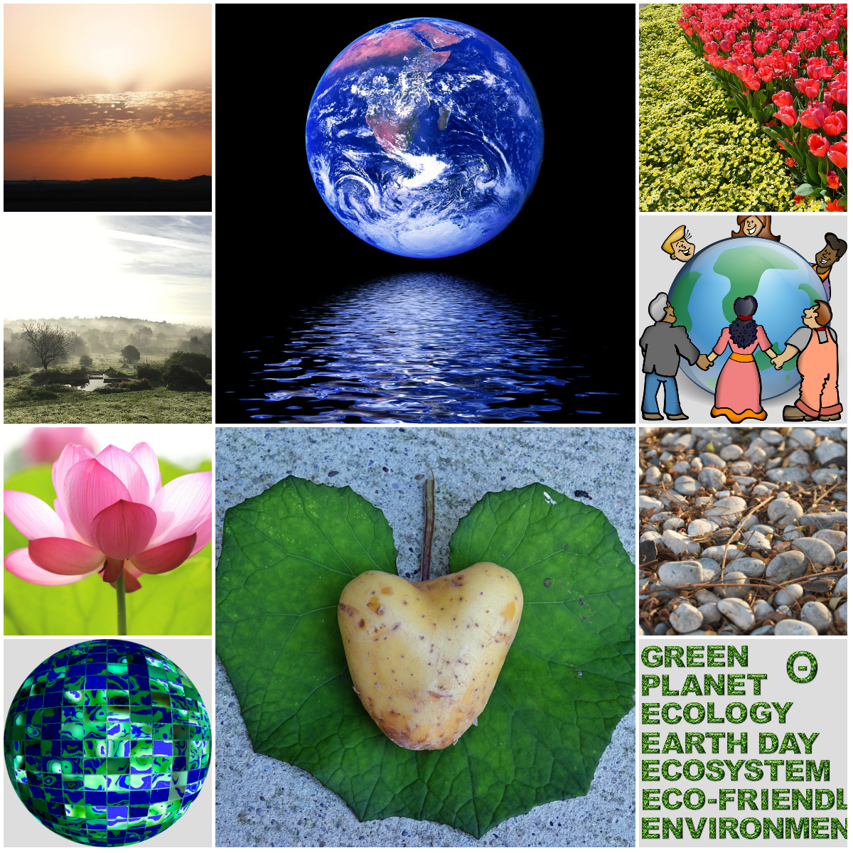 Motivation Mondays: Earth Day for Environmental & Climate Literacy ...