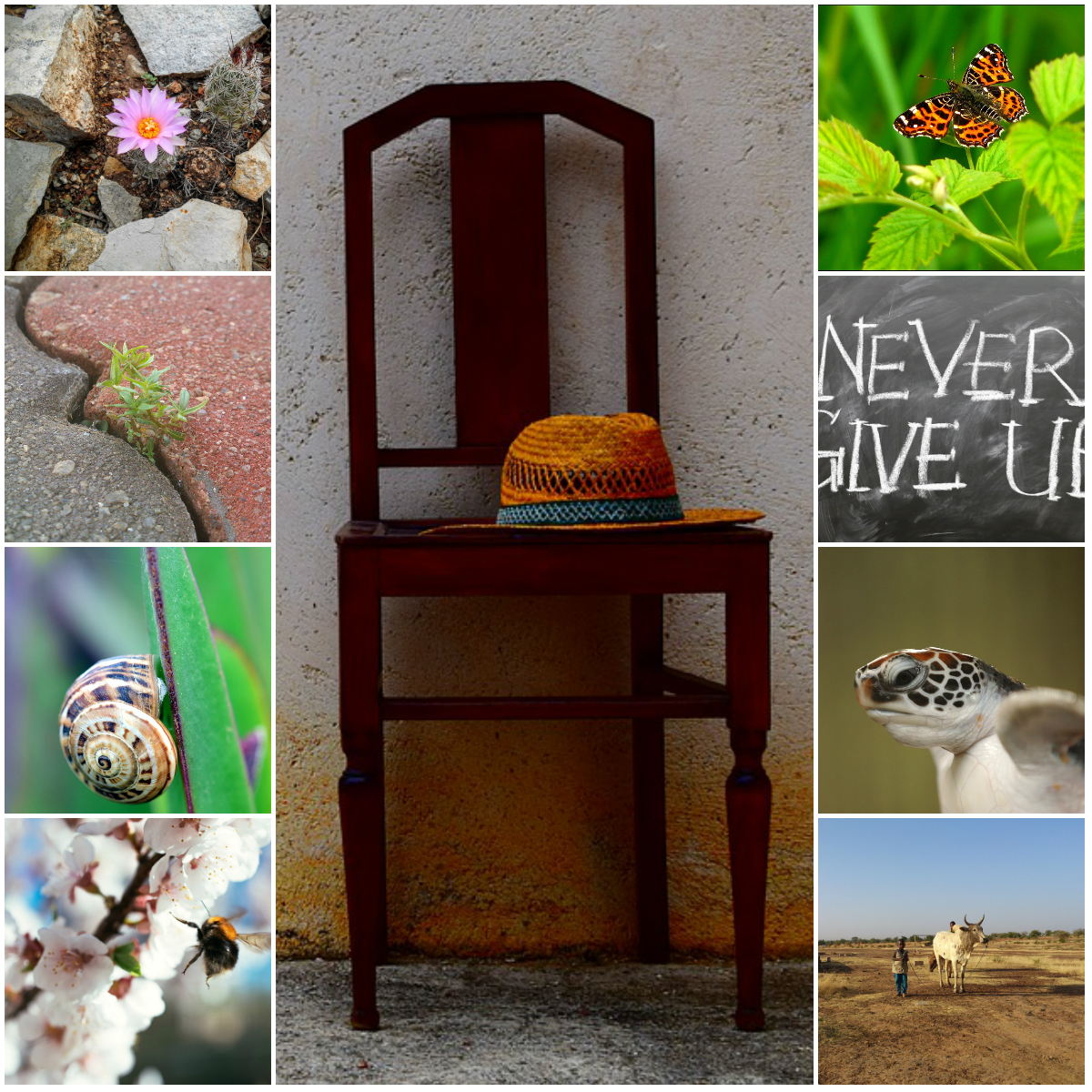 Motivation Mondays: PERSEVERANCE - Mirth and Motivation