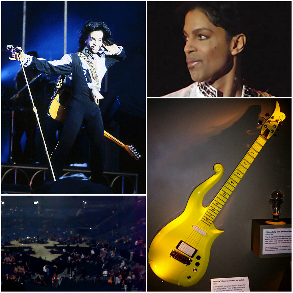 Photo Challenge: ORDER | Mirth and Motivation