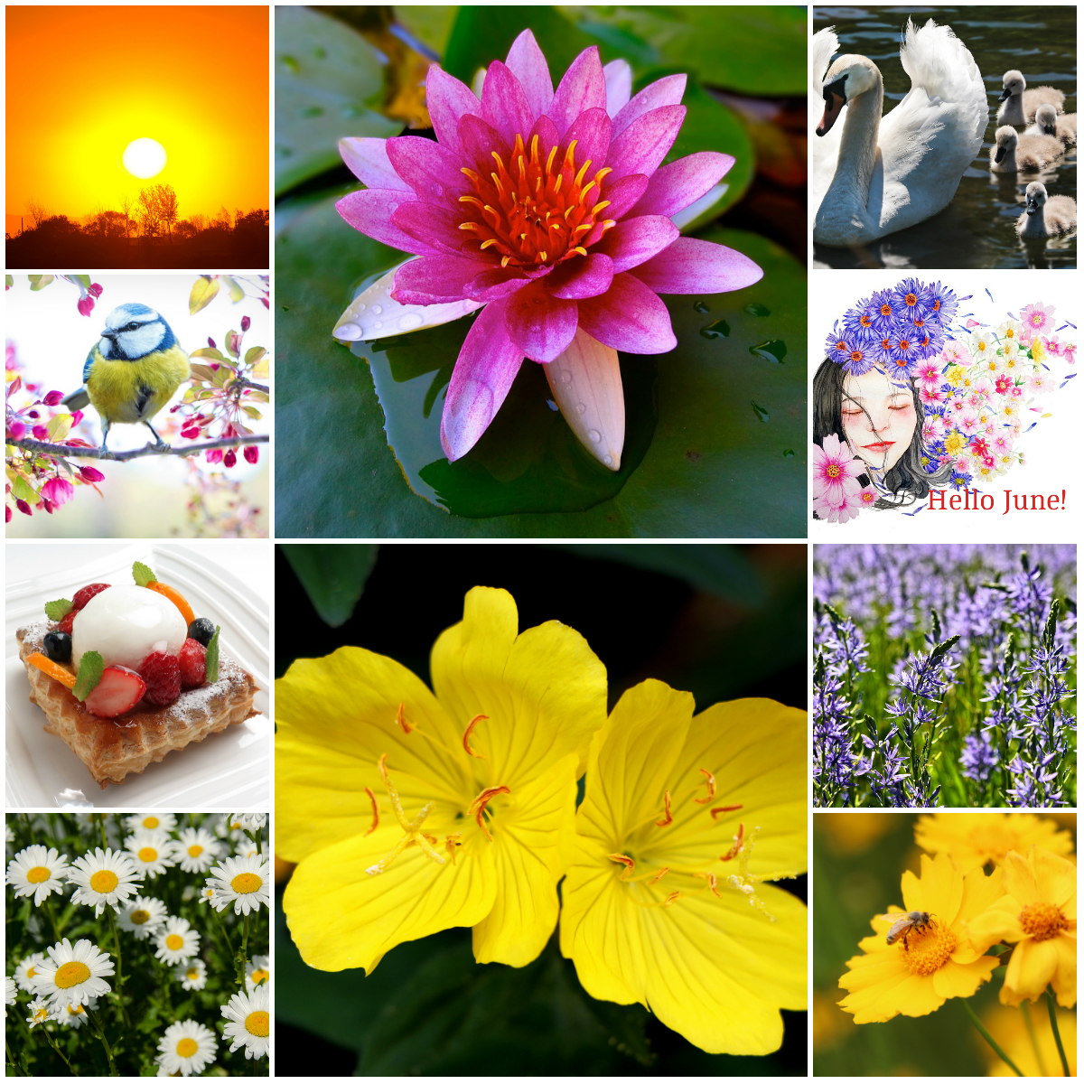 Motivation Mondays: Tips For June - Mirth and Motivation